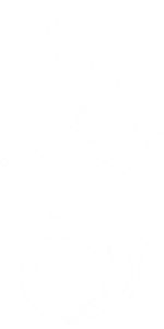 Homam Academy - homam international festival